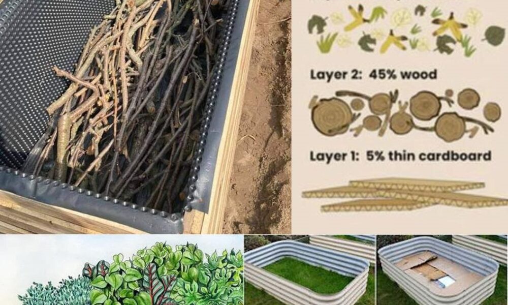How to Fill a DEEP Raised Bed CHEAP and EASY