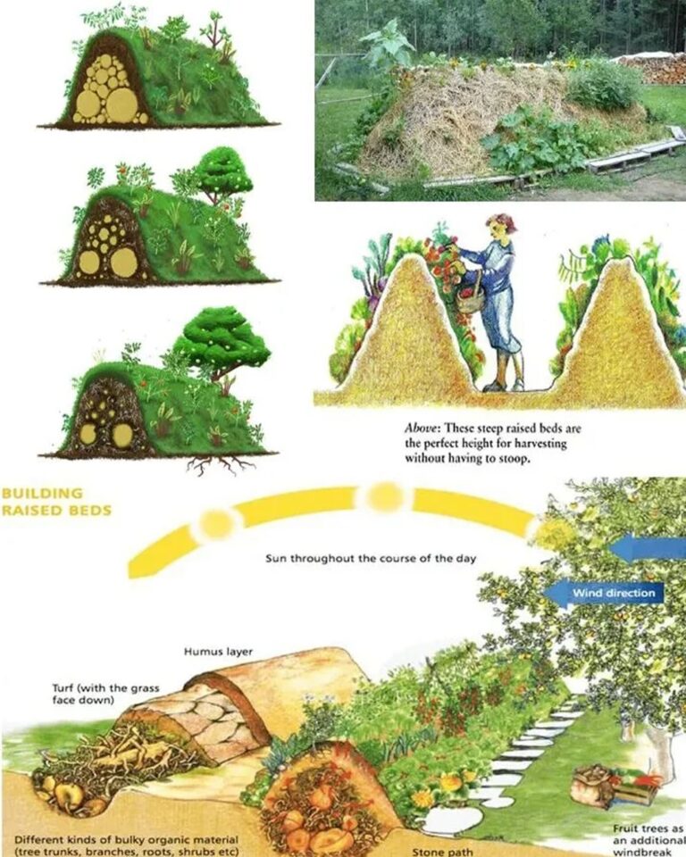 Step by step to build hugelkultur beds and why you need them - Garden Joy