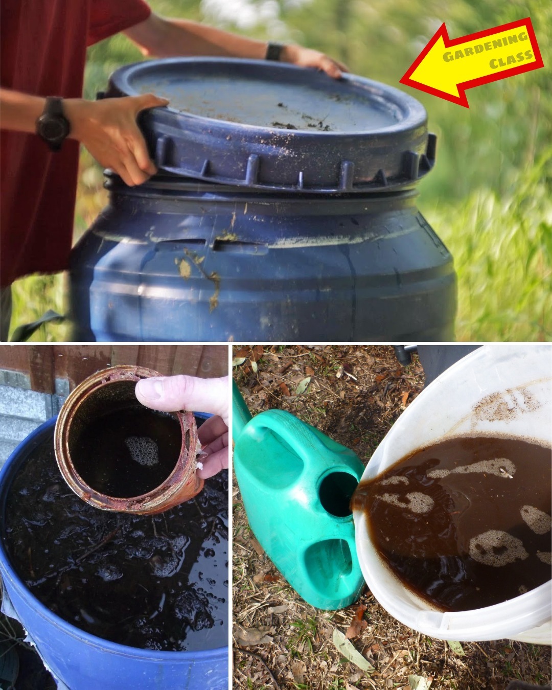 How To Make Free Liquid Fertilizer From Almost Anything with this ...