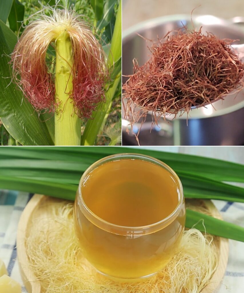 Corn Silk: 30 Health Benefits and How to Use It